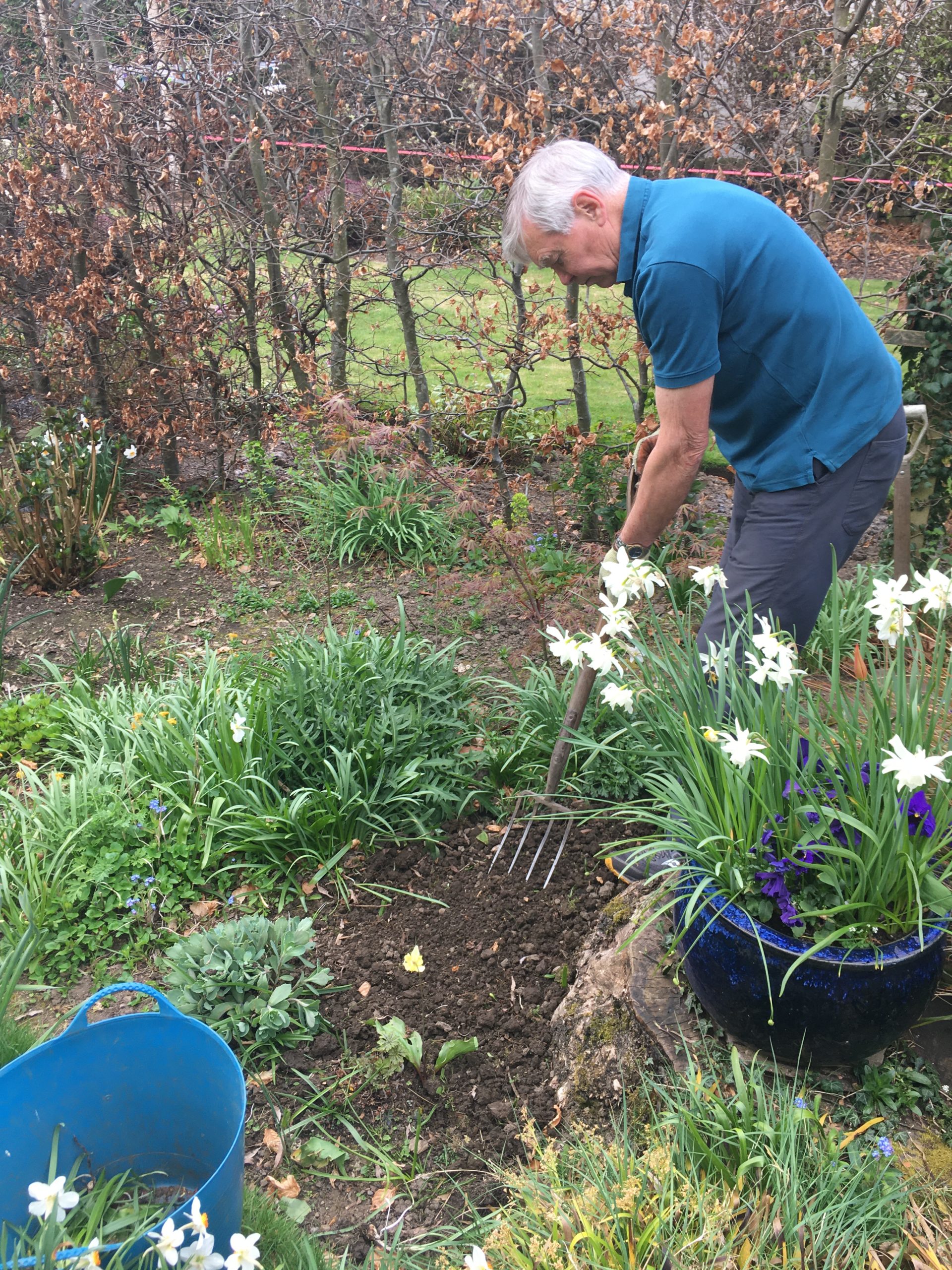 Our top 10 tips to avoid gardening injuries | The Physios