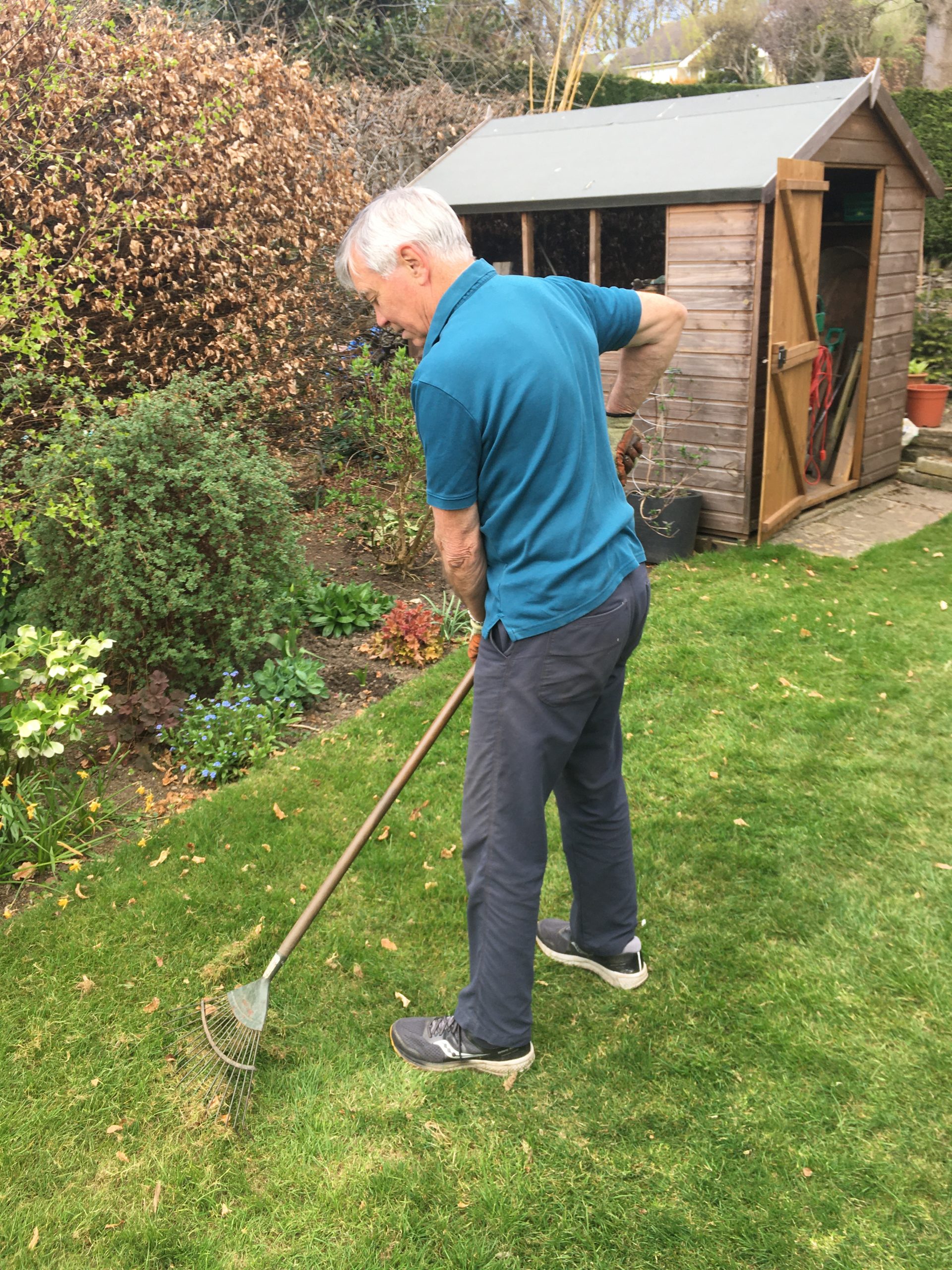 Our top 10 tips to avoid gardening injuries | The Physios