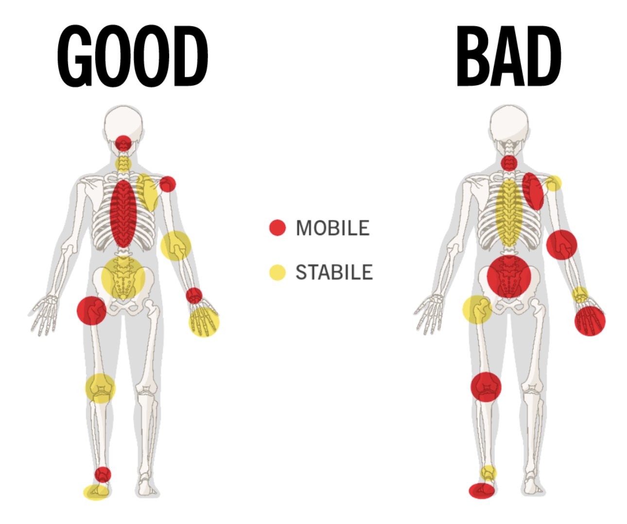 Thoracic Stiffness | What is it? How do you treat it? - The Physios